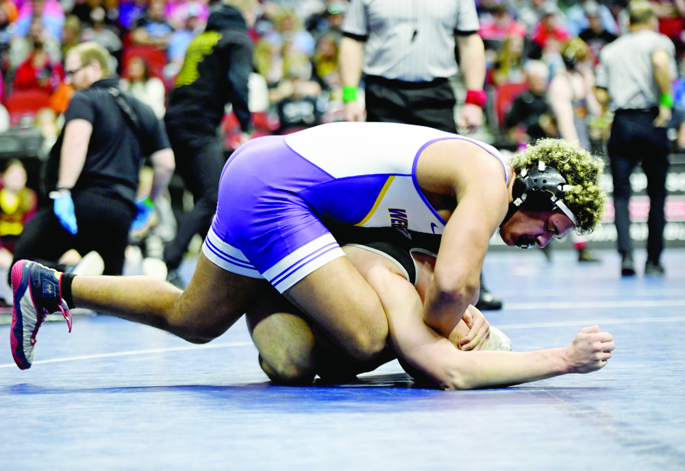 Hisler, Lynx cap successful season | News, Sports, Jobs - Messenger News